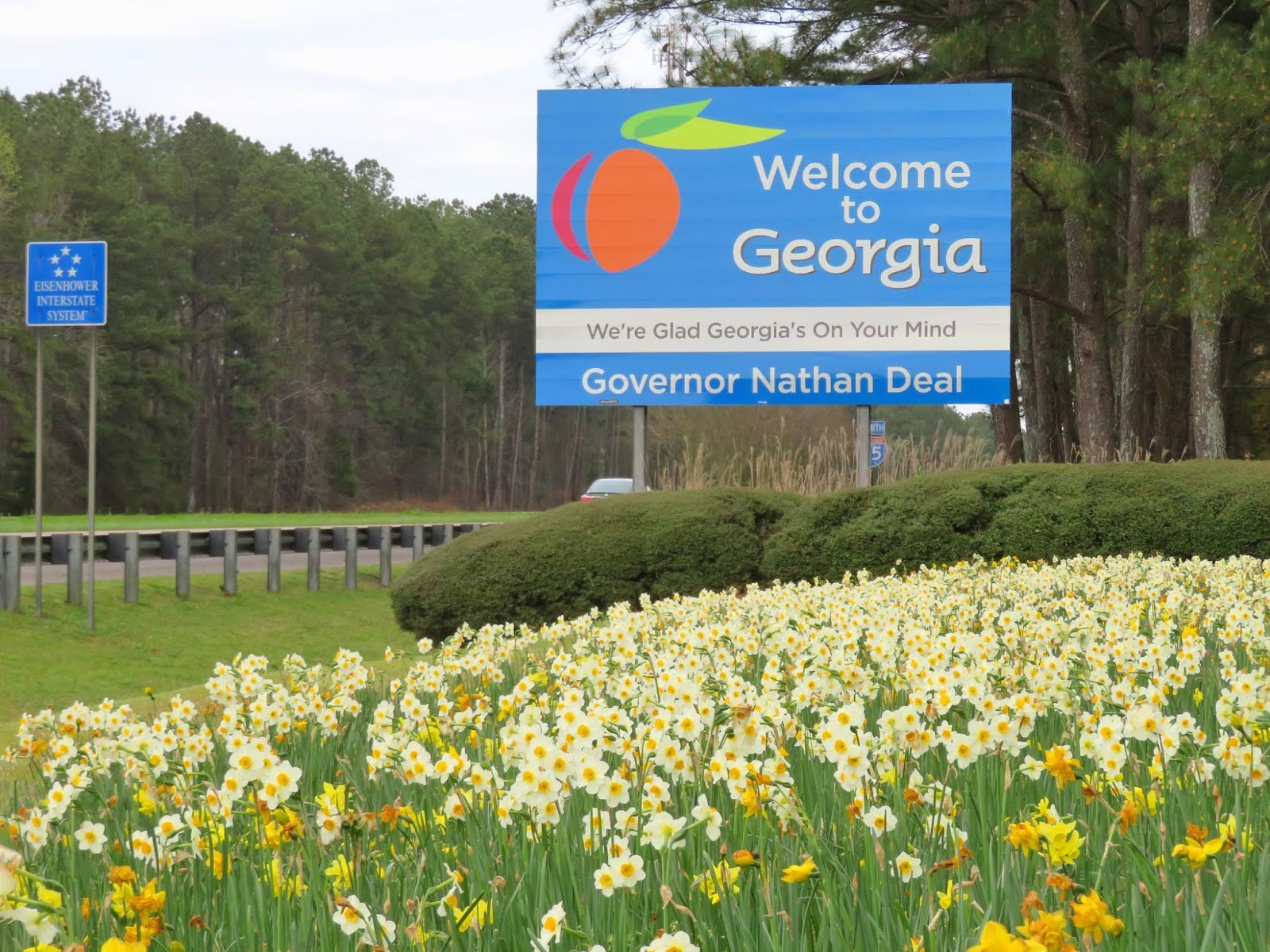 Georgia farmers and researchers continue to fight aflatoxin | Quality ...